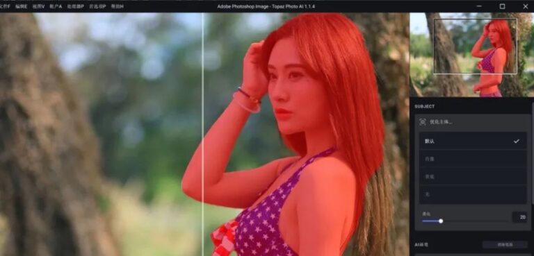 图片降噪软件Topaz Photo AI 2.4.3 中文绿色便携版（集成离线模型完整版）