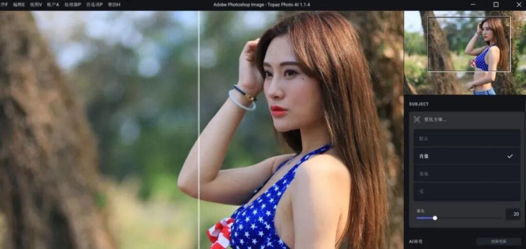 图片降噪软件Topaz Photo AI 2.4.3 中文绿色便携版（集成离线模型完整版）