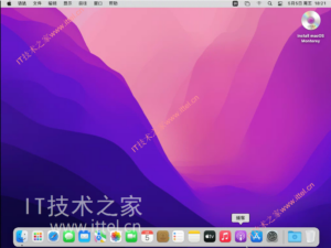 VMware Workstation Pro v17 安装黑苹果MacOS Ventura 13图文教程