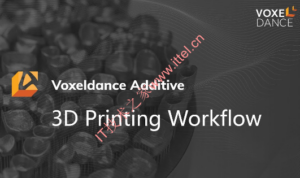3D打印软件 Voxeldance Additive 4.1.10 中文版|安装教程