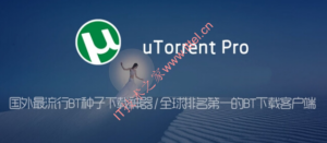 BT下载客户端uTorrent Pro v3.6.0 中文绿色便携版