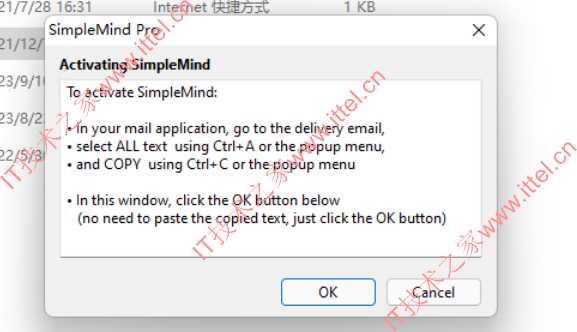 思维导图软件 SimpleMind Pro v2.2.0 中文版+激活码