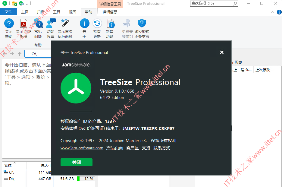磁盘空间管理器 TreeSize Professional 9.1.0 中文绿色便携版
