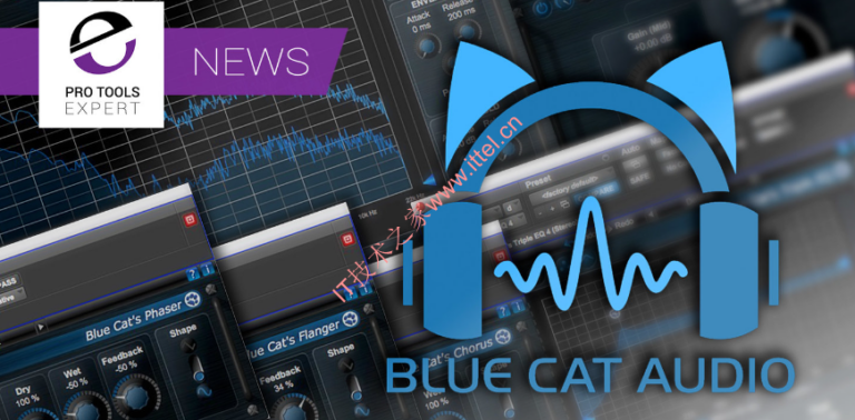 蓝猫音频处理插件包Blue Cats All Plug-Ins Pack v2024.1直装版