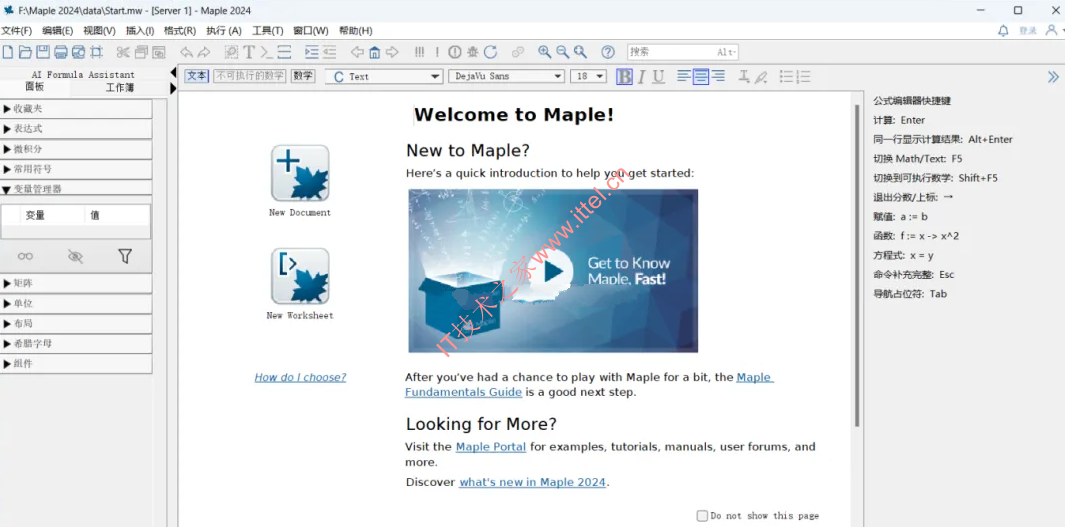 Maplesoft Maple 2024.0 中文版+安装教程