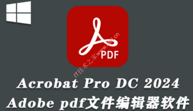 Adobe Acrobat Pro DC 2024.005.20414 中文绿色便携版
