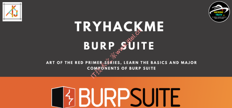 Burp Suite Professional 2024.7 安装激活教程(macOS+Linux + Windows)