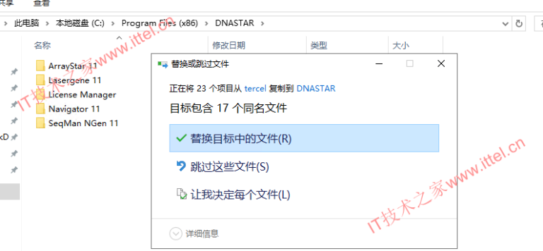序列分析软件DNASTAR v11.1下载+安装教程