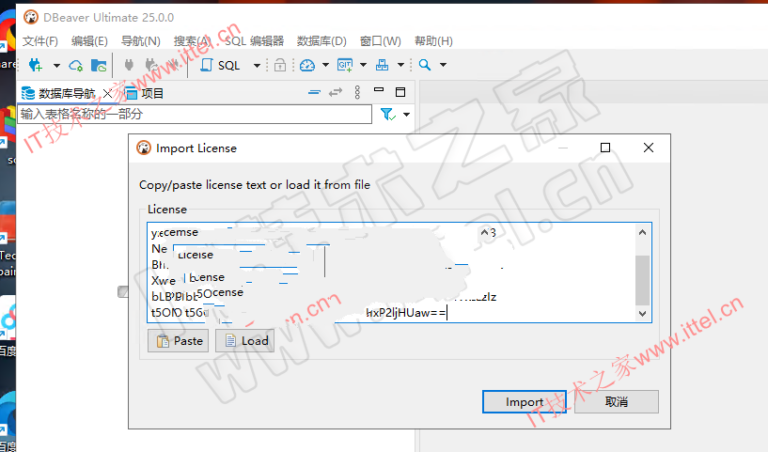 数据库管理工具DBeaver Ultimate 25.0 中文版（Windows、macOS、Linux）