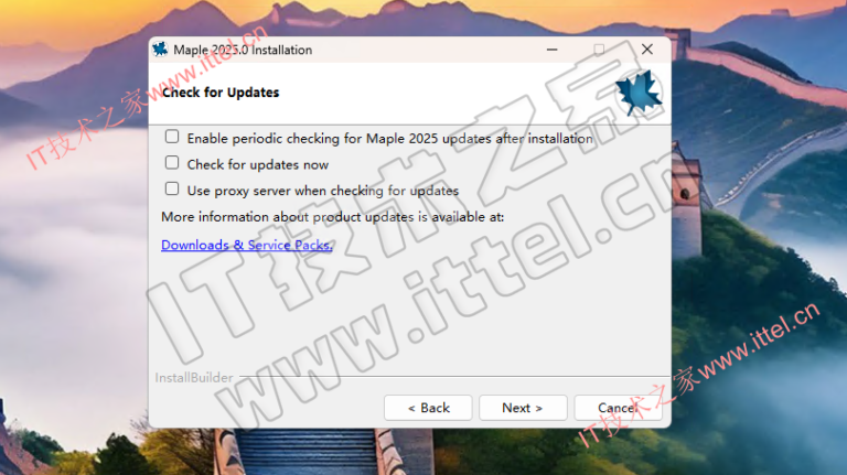 Maplesoft Maple 2025.0 中文版+安装教程